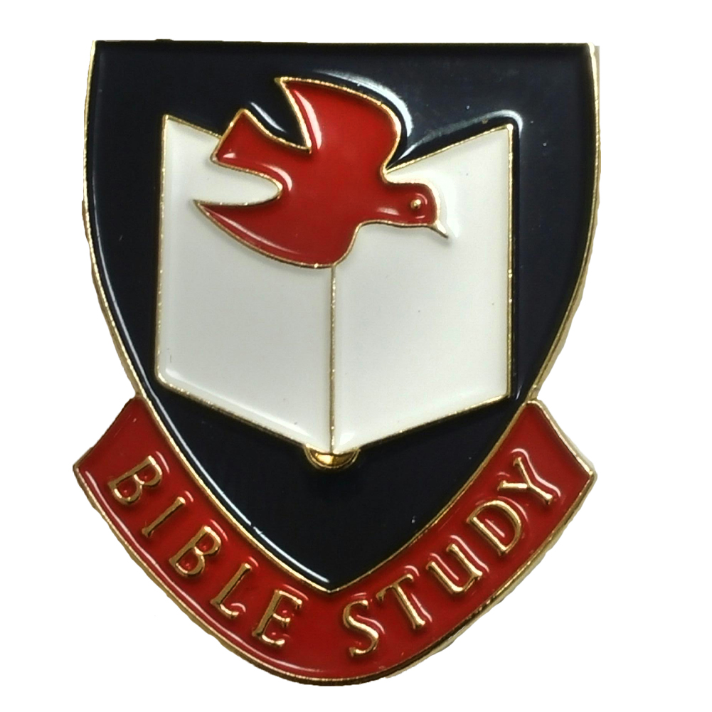 Bible Study Pins | Bible Group Pins | Terra Sancta Guild